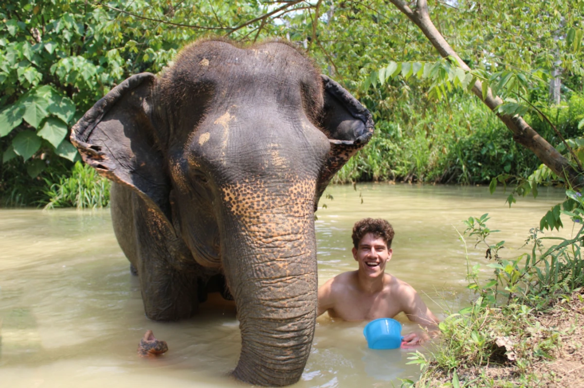 Half-Day Elephant Sanctuary in Krabi - Ethical Wildlife Experience ...